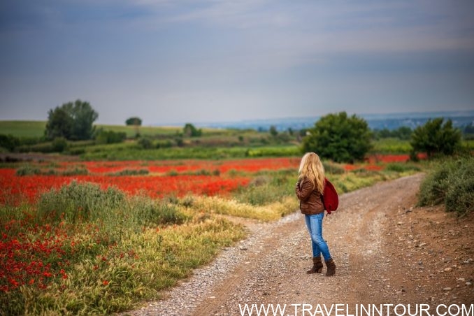 Best places to Visit in Green Spain - The Secret Spain