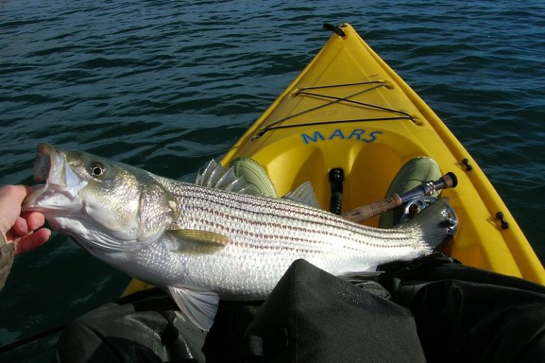 The Ultimate Guide to Bass Fishing at California's 5 Lakes