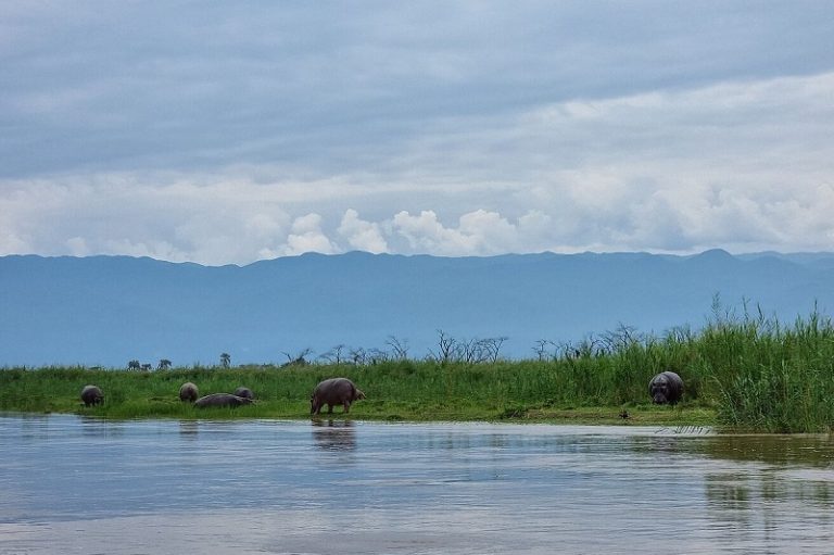 Best Tourist Attractions in Burundi You Don't Want to Miss