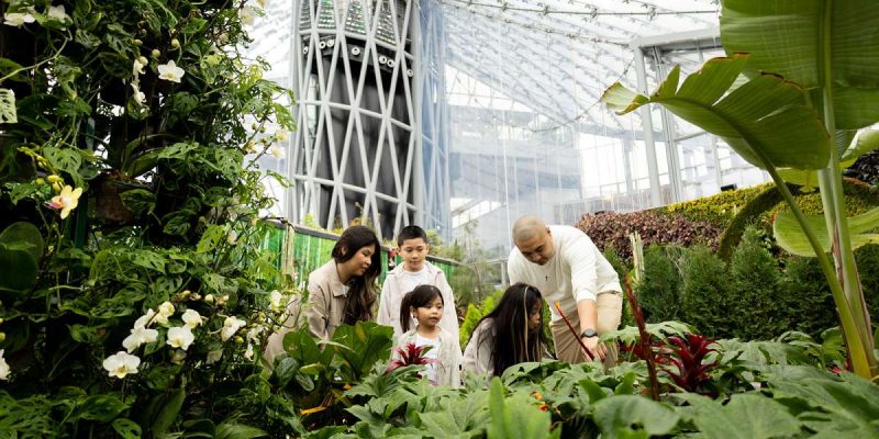 Discover the Hidden Gems: Top 5 Parks to Visit in Winnipeg